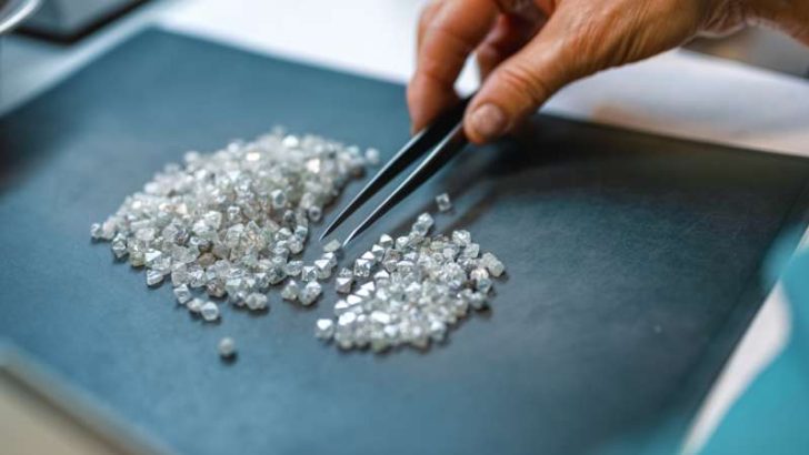 Shield Cut Diamond: Proud Member of Step Cut Family - CaratCraze
